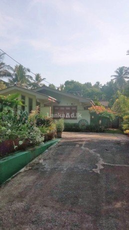 House For Sale, Horana